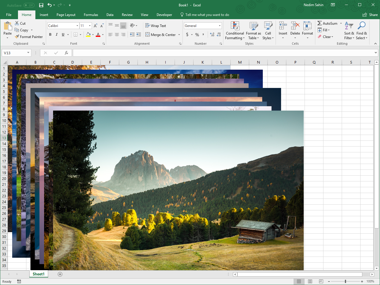 How to organize images automatically in an Excel file using a macro ...