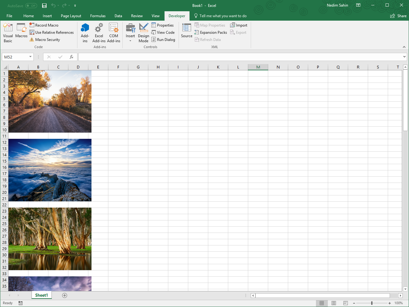 How To Organize Images Automatically In An Excel File Using A Macro 4994