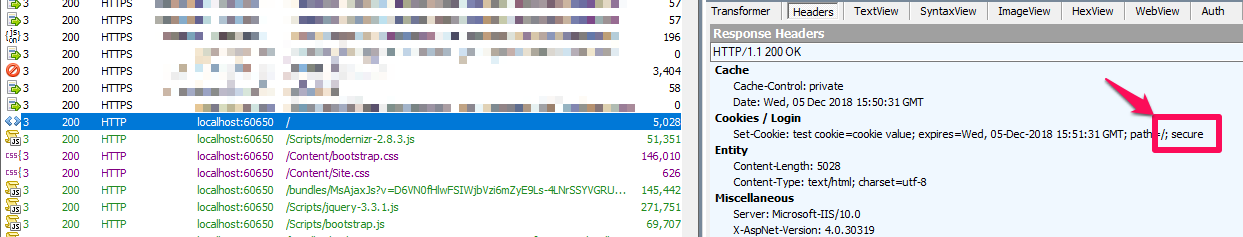 Secure Cookie Flag 9083